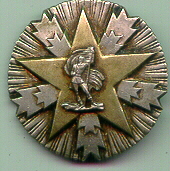 Yugoslav medals and badges