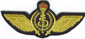 Iraqi Air Force insignia