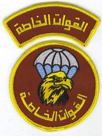 Iraqi Republican Guard sleeve patches and shoulder boards