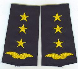 Iraqi Air Force insignia