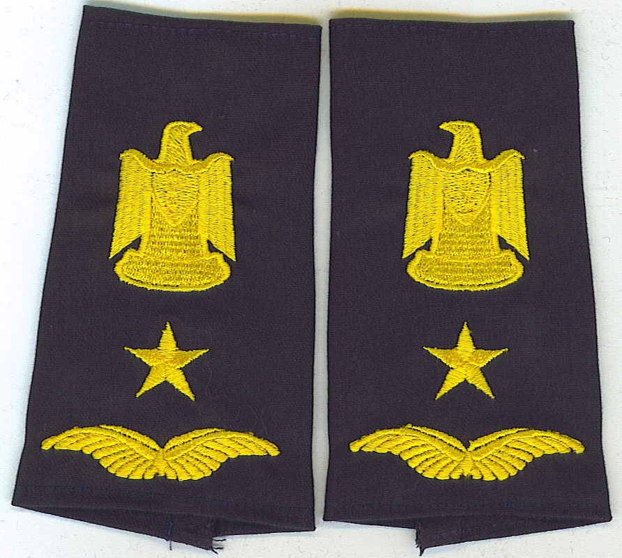 Iraqi Air Force insignia