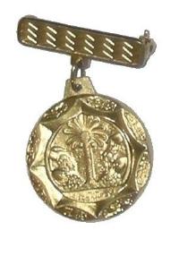 Iraqi medals, badges, and branch insignia