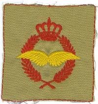 Iraqi Air Force insignia