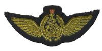 Iraqi Air Force insignia